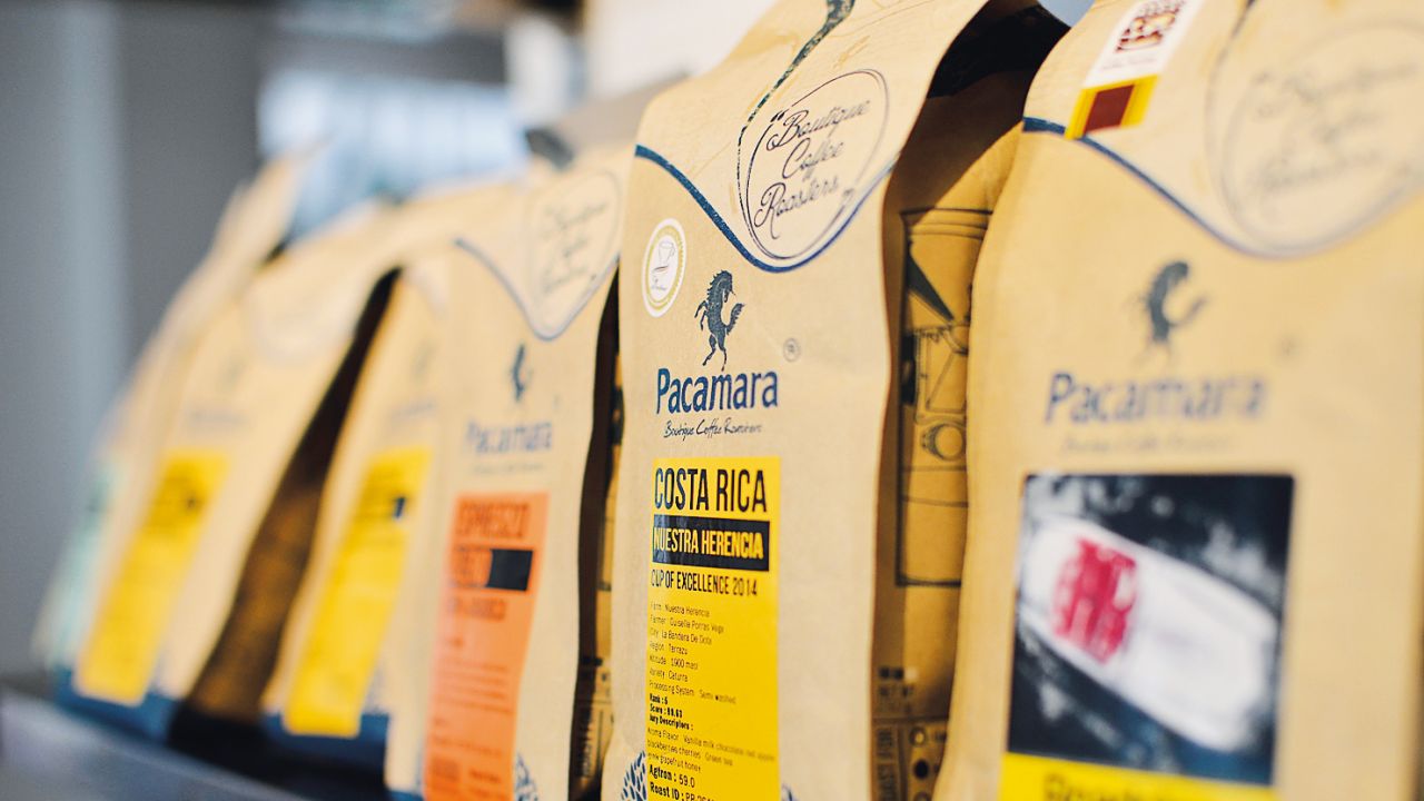 Pacamara Coffee Roasters x Specialty Coffee Lab